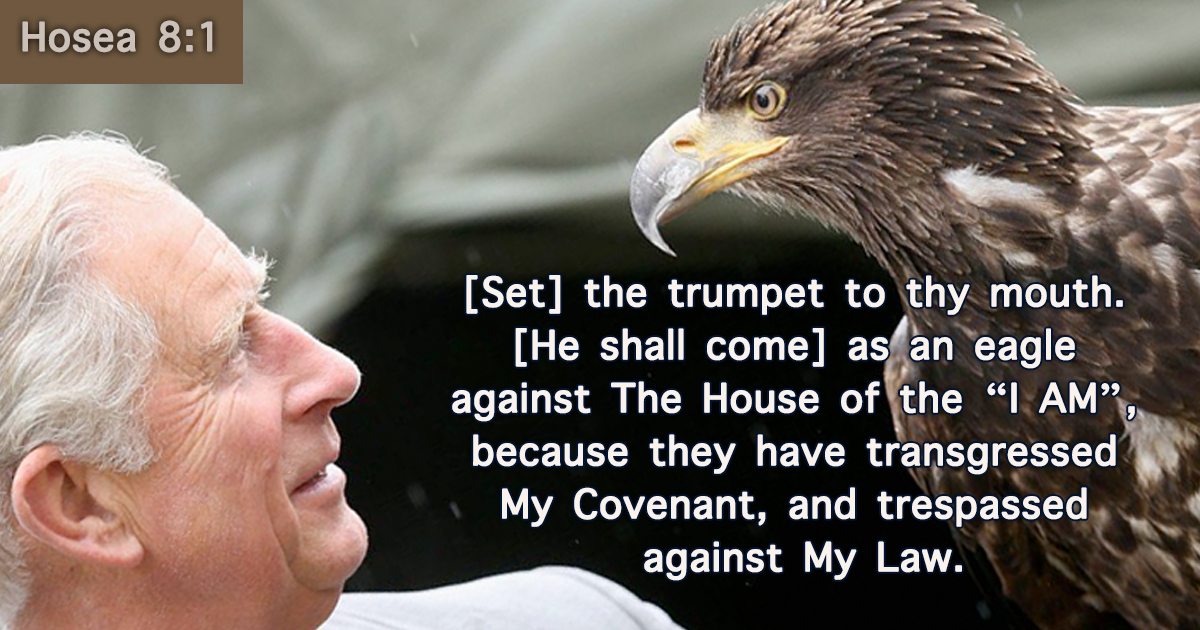 Take A Bold Step - Gibraltar Messenger