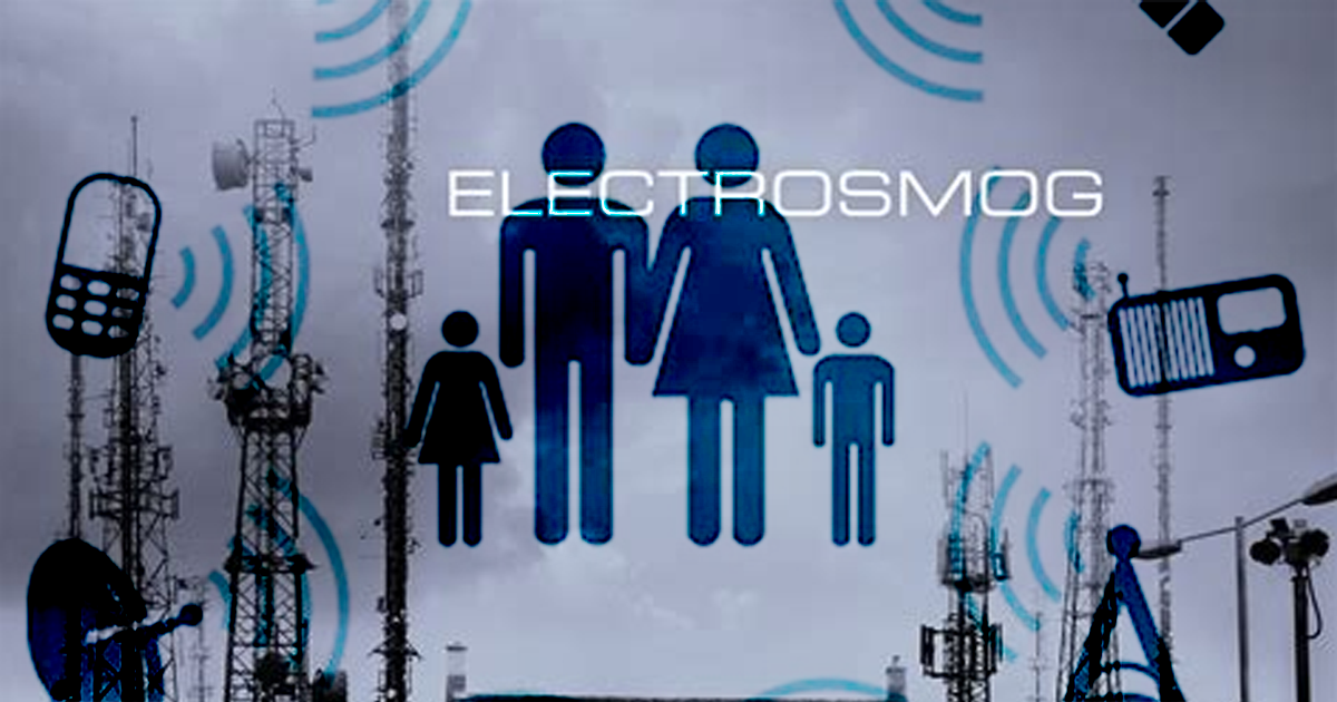 Policy Brief on Electrosmog - Gibraltar Messenger